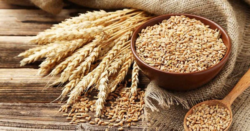 How to Store Wheat And How To Use It - Daily Prepper News